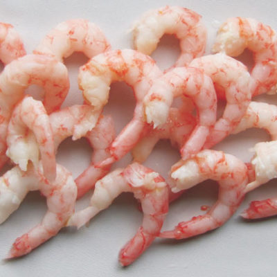 Bulk Distribution – Northern Prawn Arctic Shrimp - Euro Seafood B.V.